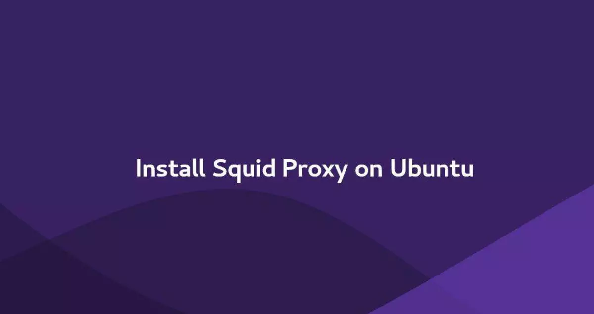 如何在Ubuntu 18.04上安装和配置Squid代理 | myfreax