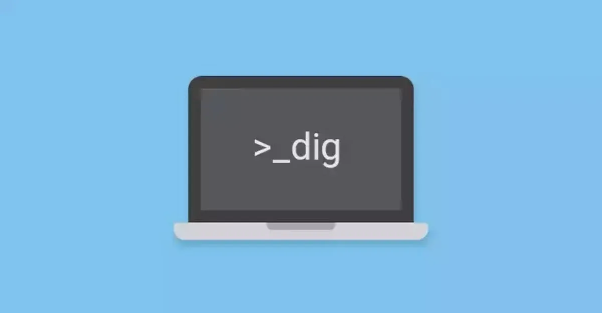 如何在Debian 11安装dig | myfreax