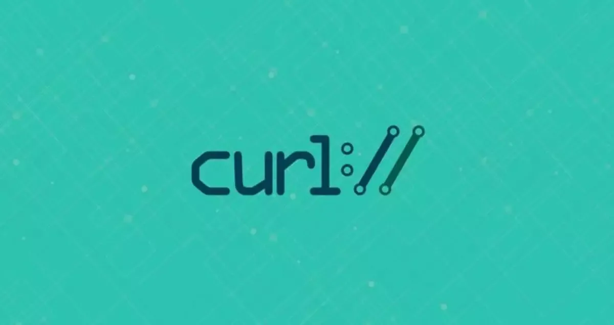 Curl 设置发送 HTTP 请求头 Header | myfreax